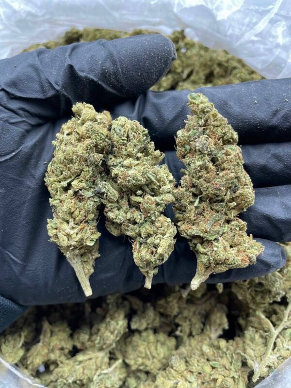 Afghan Kush Strain - Trappy Exotics Menu