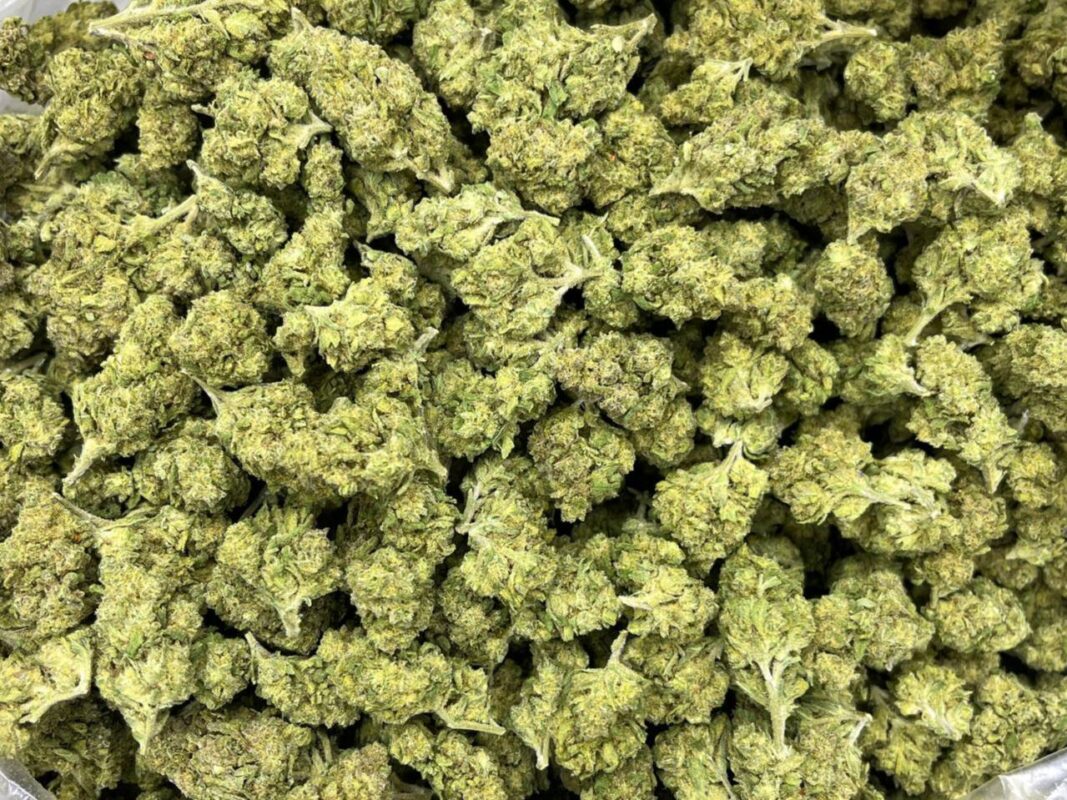Blue Dream Weed - Trappy Exotics Menu